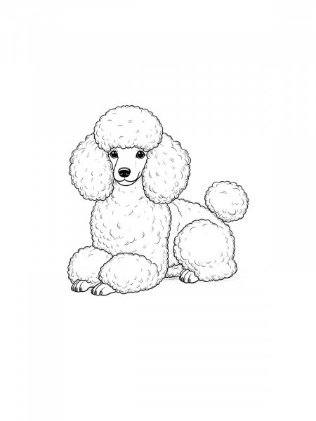 Poodle coloring pages