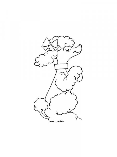 Poodle coloring pages