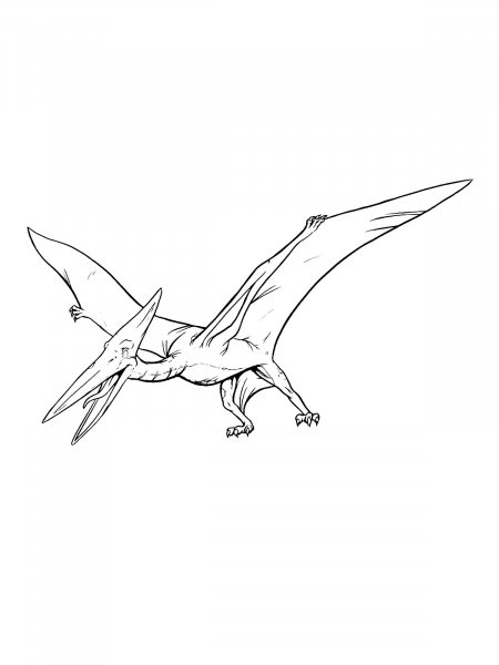 Pteranodon coloring pages