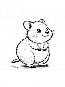 Quokka Coloring Pages (Free Printables for Kids)