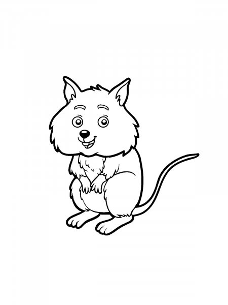 Quokka Coloring Pages (Free Printables for Kids)