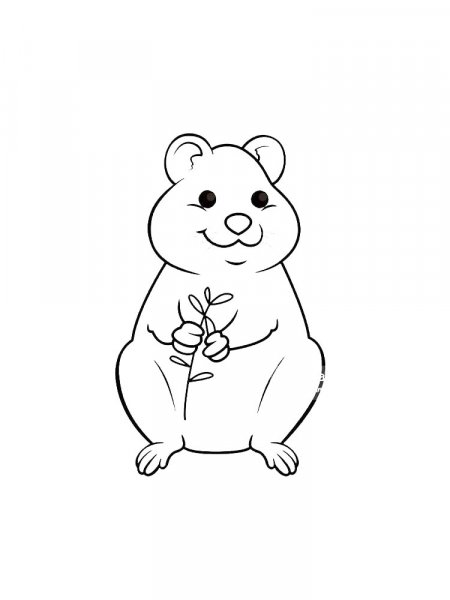 Quokka coloring pages