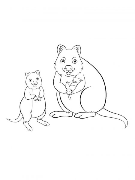 Quokka coloring pages