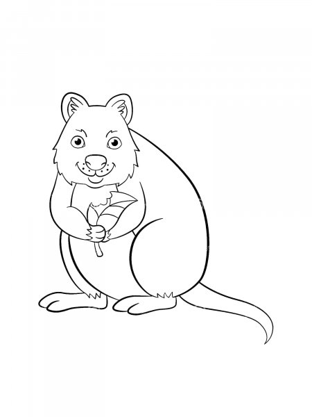 Quokka coloring pages
