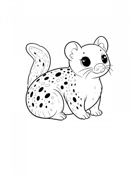 Quoll coloring pages
