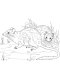 Quoll coloring pages