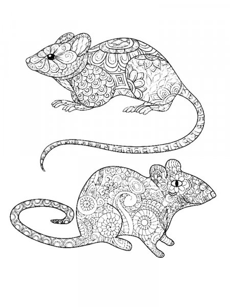 Rat coloring pages