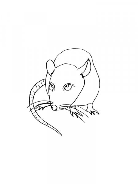 Rat coloring pages