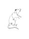 Rat coloring pages