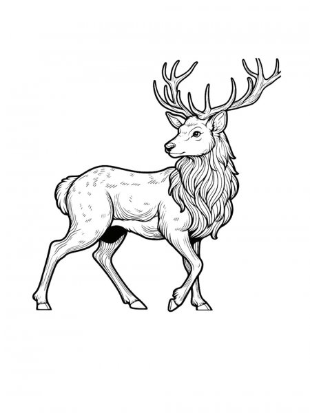 Red Deer coloring pages