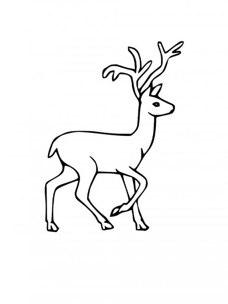 Red Deer coloring pages