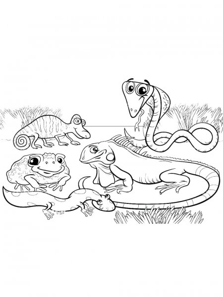 Reptile coloring pages