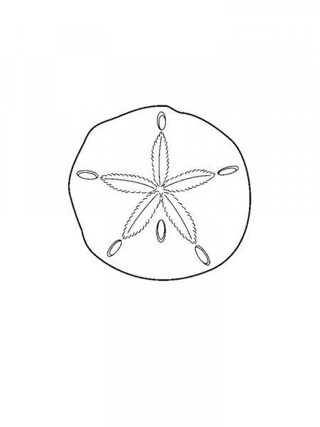 Sand Dollar coloring pages