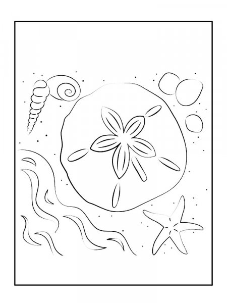 Sand Dollar coloring pages