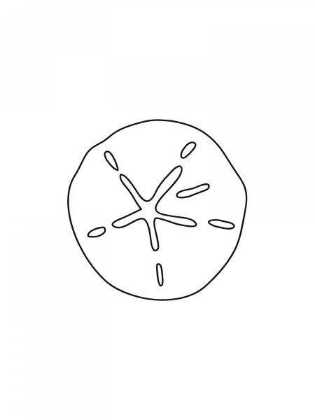 Sand Dollar coloring pages