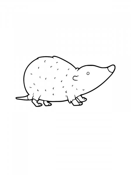 Shrew coloring pages