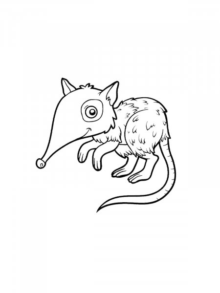 Shrew coloring pages