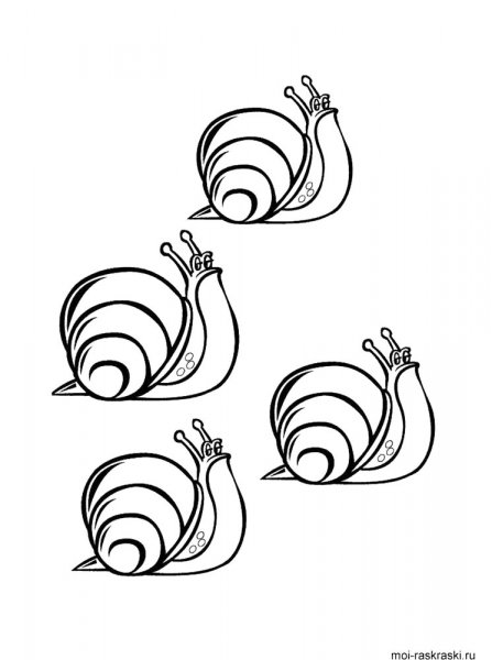Snail coloring pages