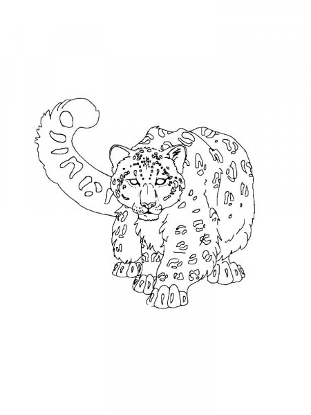 Snow Leopard coloring pages
