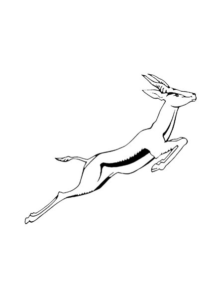 Springbok coloring pages