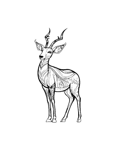 Springbok coloring pages