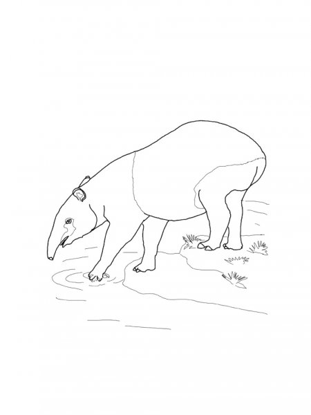 Tapir coloring pages