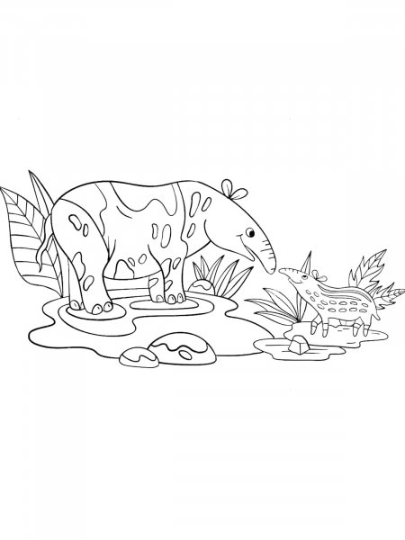 Tapir coloring pages