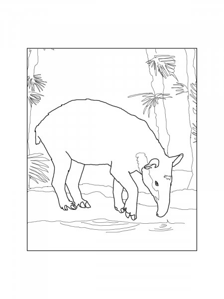 Tapir coloring pages