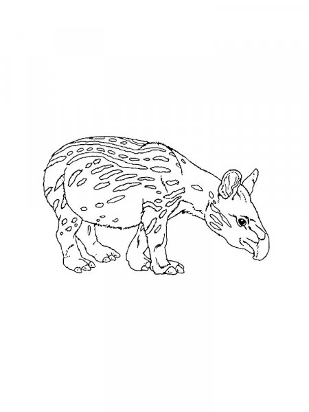 Tapir coloring pages