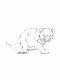 Tasmanian Devil coloring pages