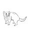 Tasmanian Devil coloring pages
