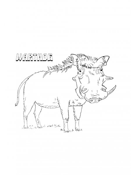 Warthog coloring pages