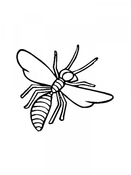 Wasp coloring pages