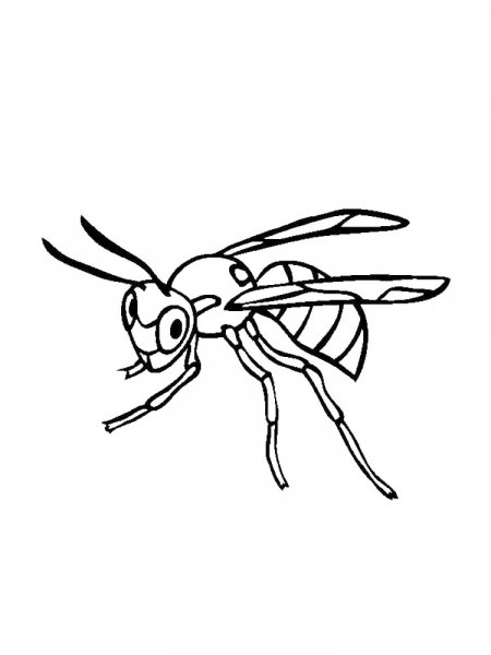 Wasp coloring pages