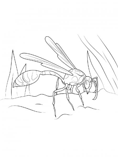 Wasp coloring pages