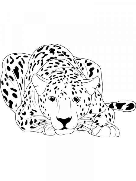 Wild cats coloring pages