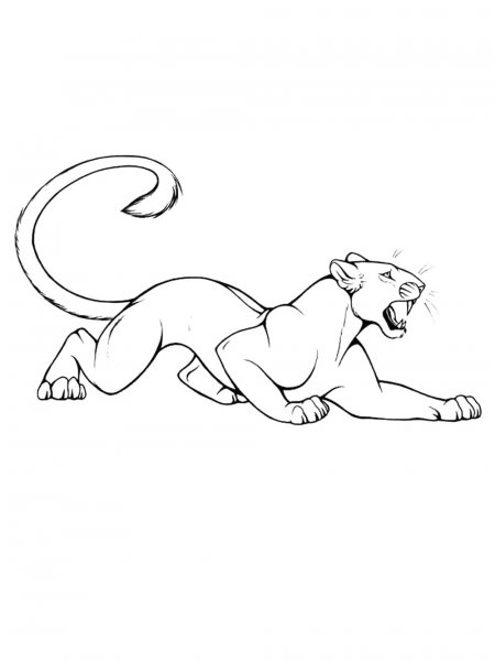 Wild cats coloring pages
