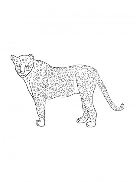 Wild cats coloring pages