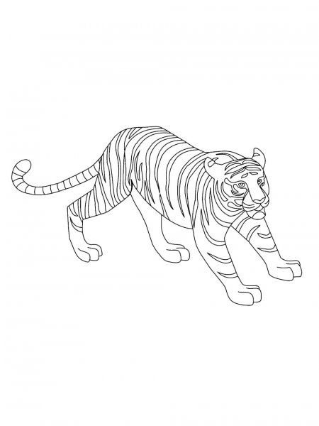 Wild cats coloring pages