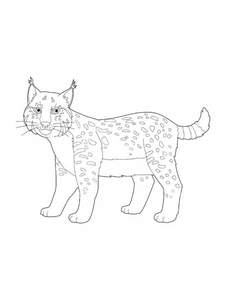 Wild cats coloring pages