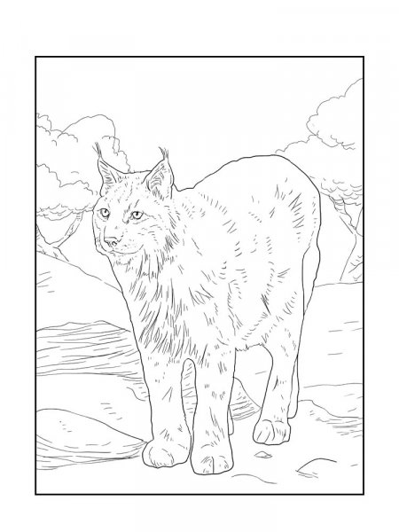 Wild cats coloring pages
