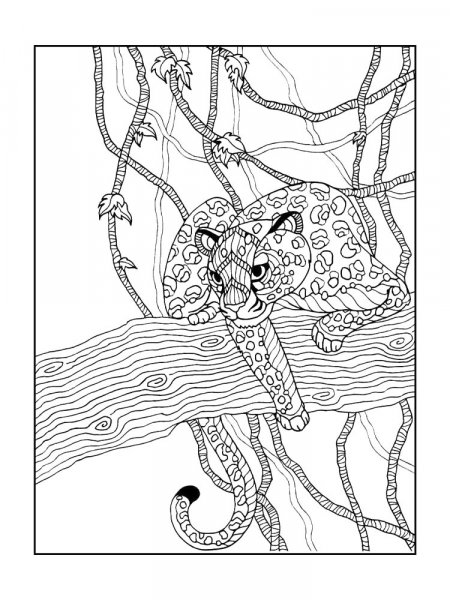 Wild cats coloring pages