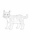 Wild cats coloring pages