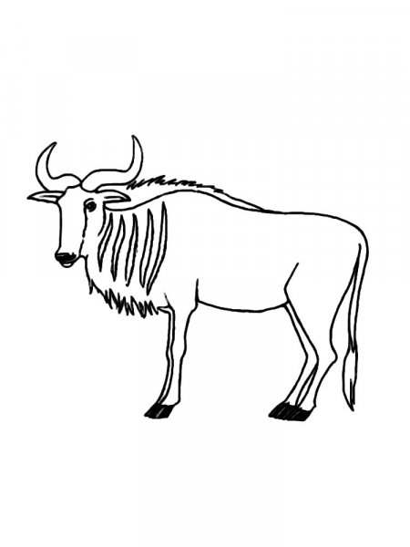 Wildebeest coloring pages