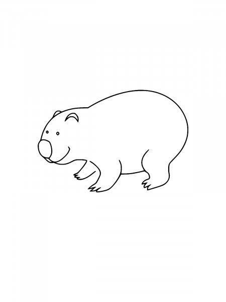 Wombat coloring pages