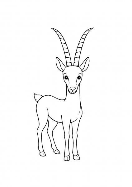 Antelope coloring pages