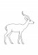 Antelope coloring pages