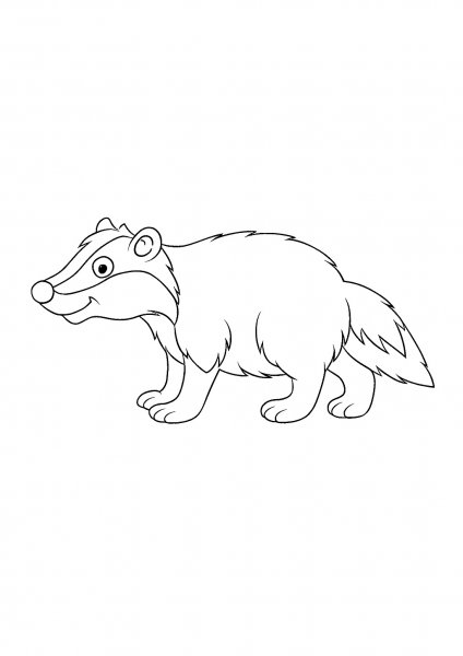 Badger coloring pages