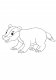Badger coloring pages