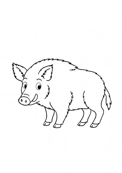 Boar coloring pages